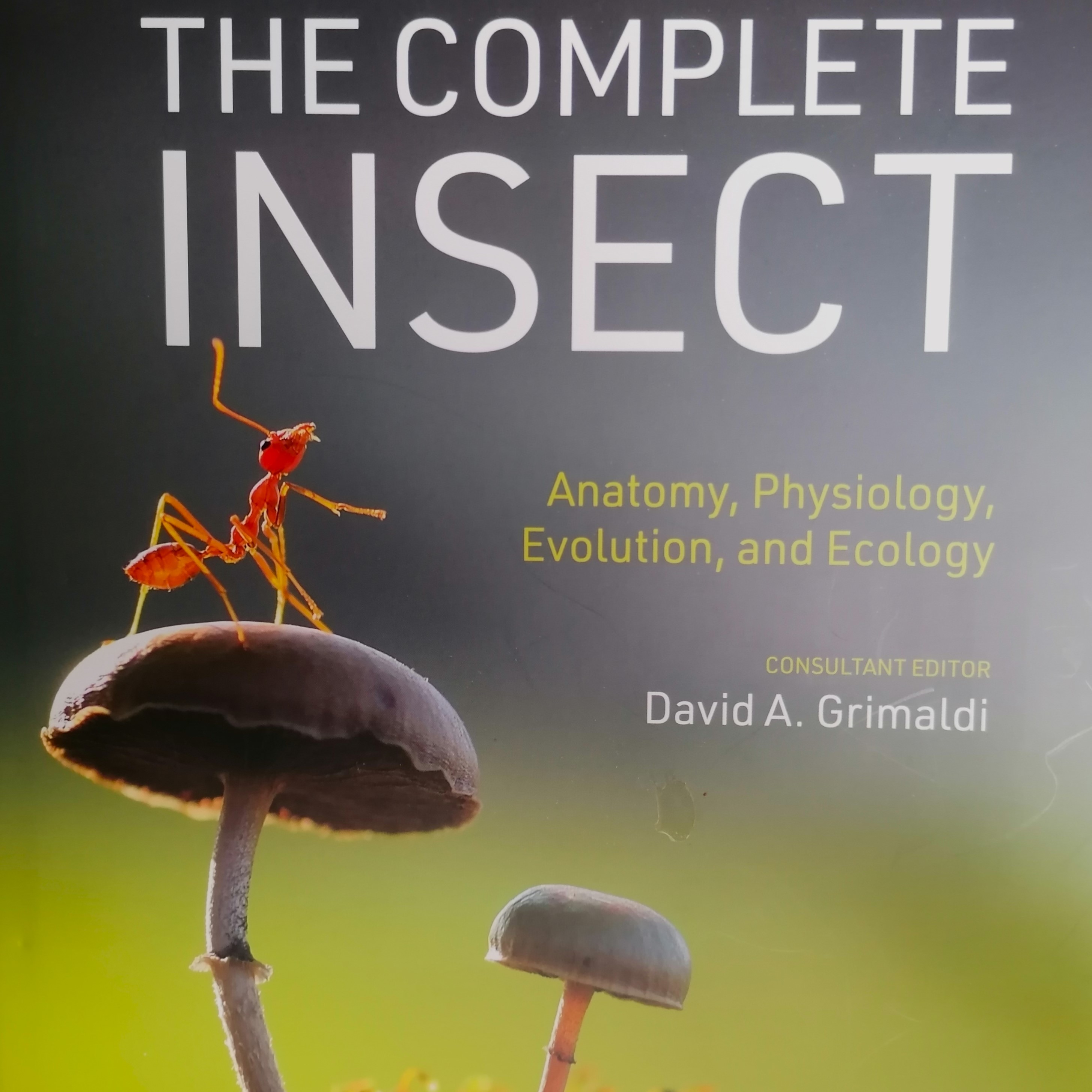 The Complete Insect: UNOFFICIAL BOOKCLUB NO 11 – Mark Cocker