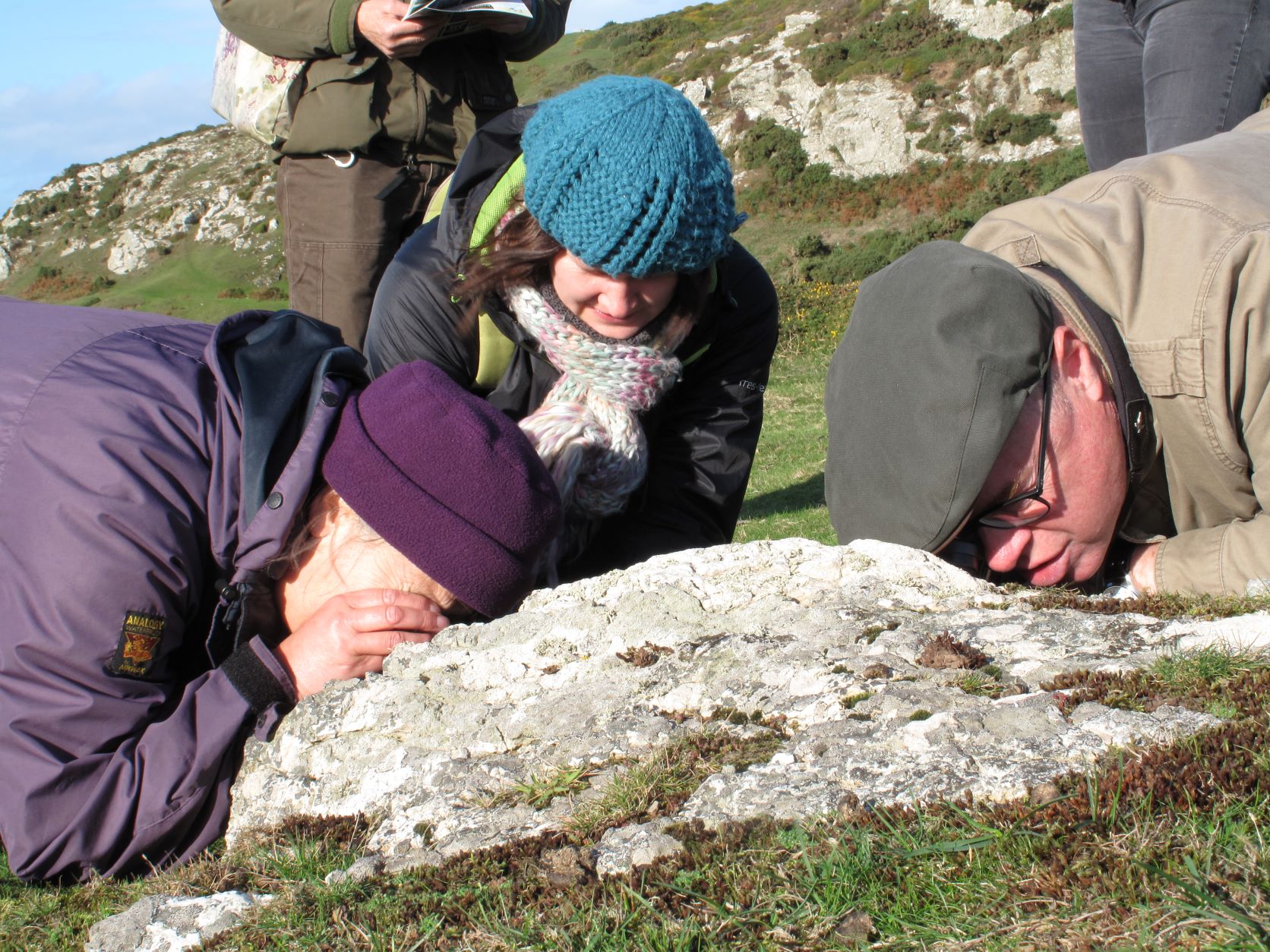 my latest news – Mark Cocker